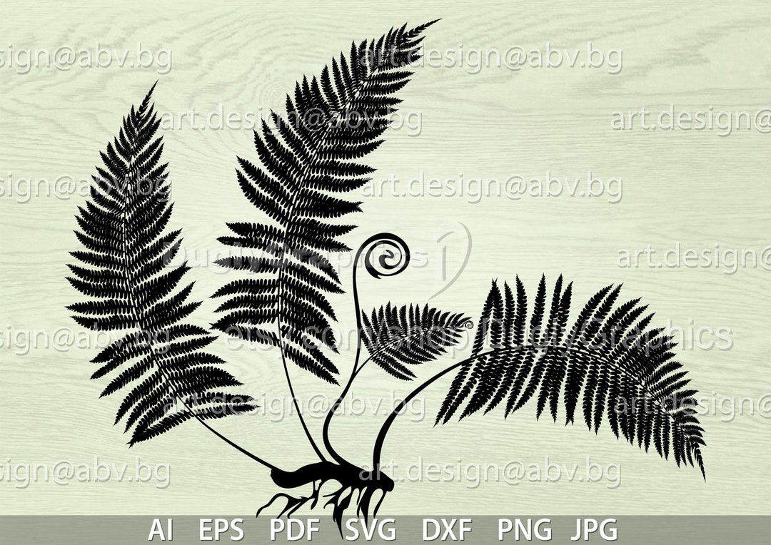 Vector FERN, AI, Eps, Pdf, SVG, Dxf, Png, Jpg Download, Digital Image ...