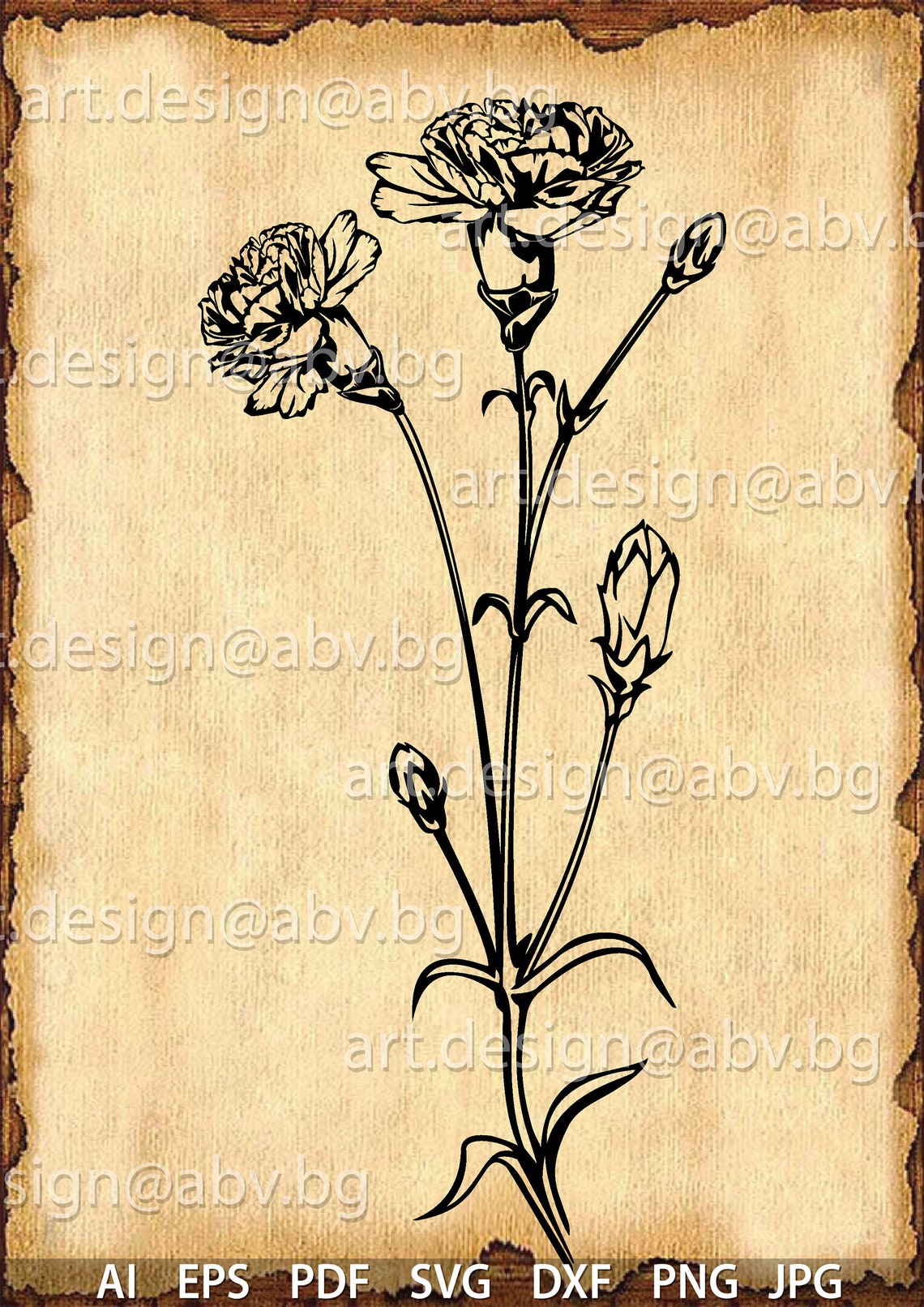 Vector CARNATION Flower AI Eps Png Pdf Svg Dxf Jpg - Etsy