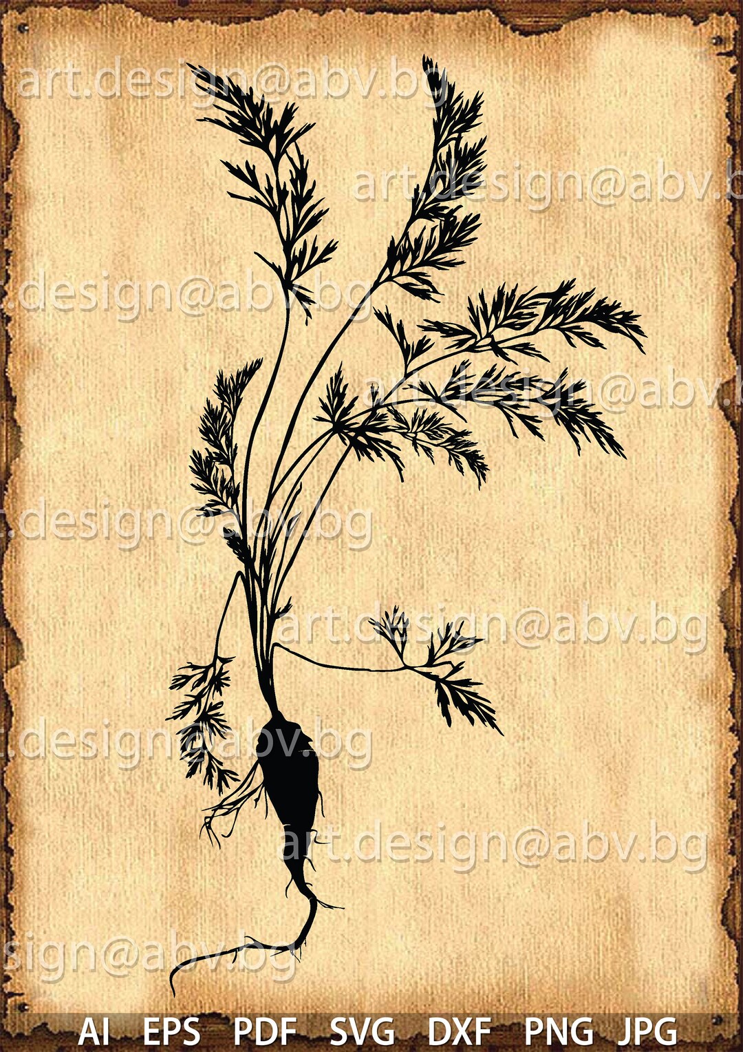 Vector CARROT, Ai, Eps,pdf, Png, Dxf, Svg, Jpg Image Graphic Digital ...