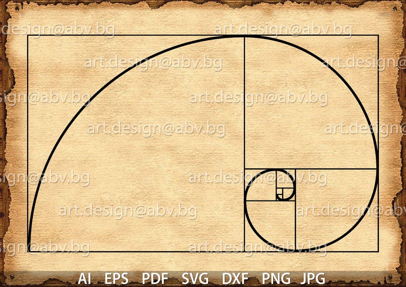 Vector FIBONACCI SPIRAL AI png eps pdf svg dxf jpg | Etsy