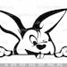 Vector RABBIT, AI, Pdf, Eps, Svg, Dxf, Png, Jpg Download, Digital ...