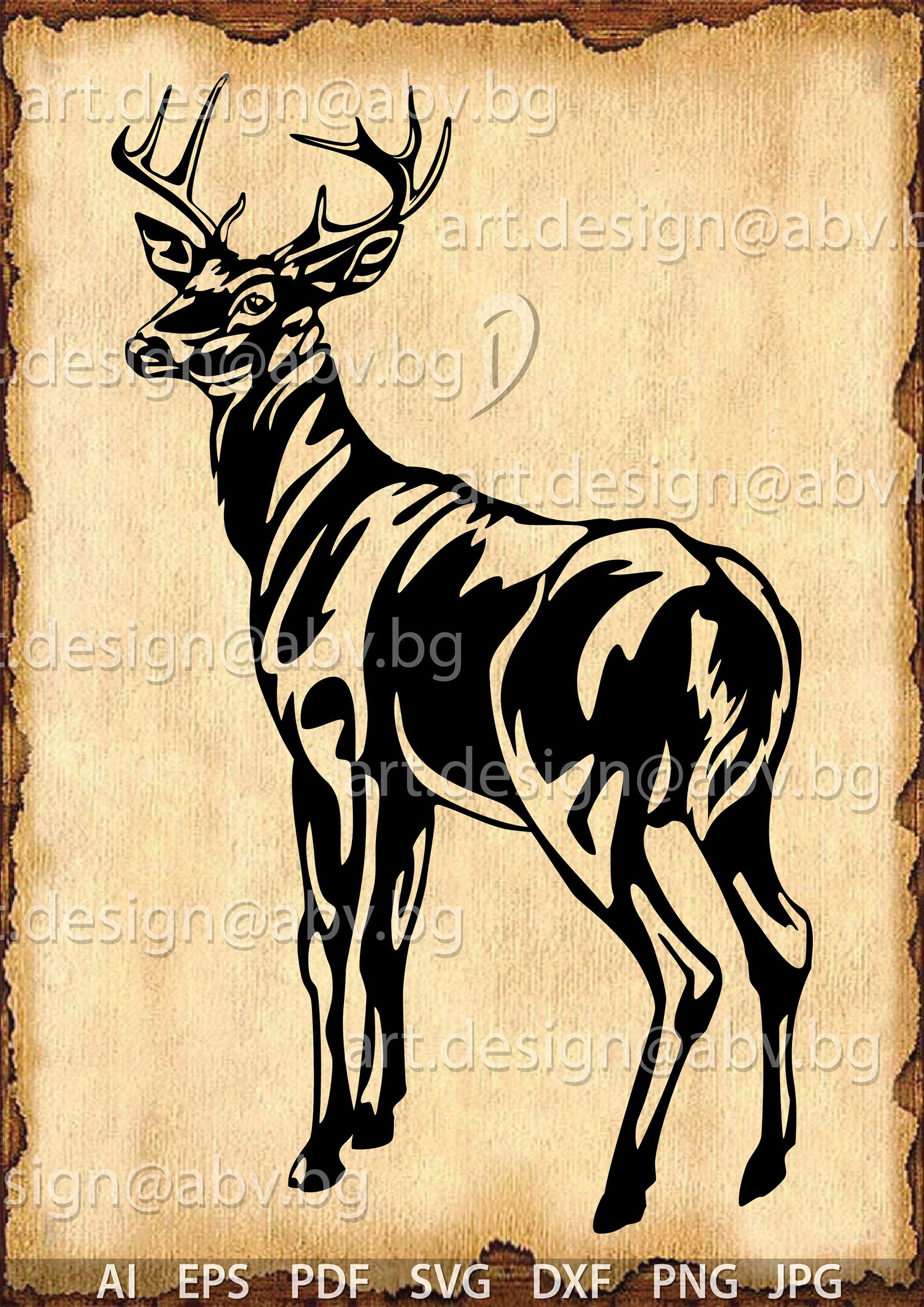 Vector WHITE TAIL STAG Deer Body Ai Eps Pdf Svg Dxf - Etsy