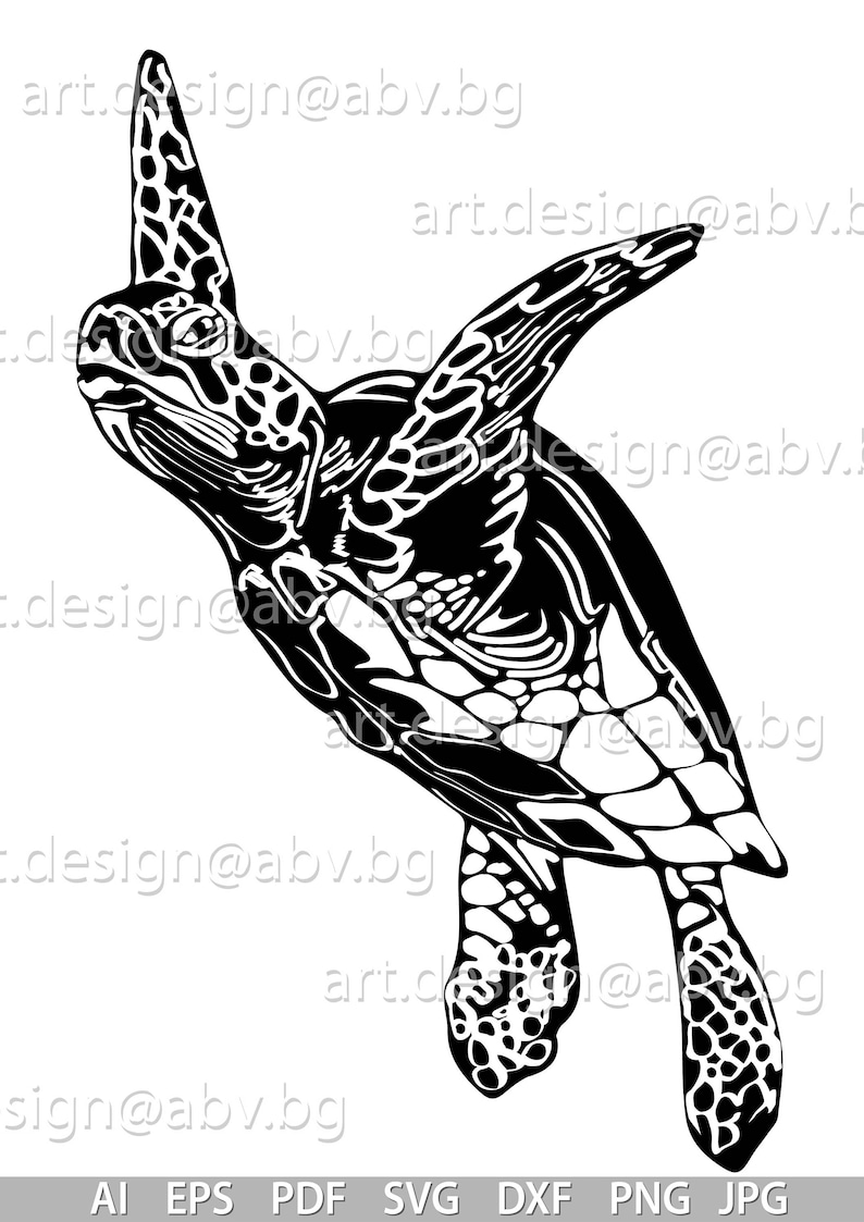 Vector TURTLE SVG Dxf Ai Eps Pdf Png Jpg Download | Etsy