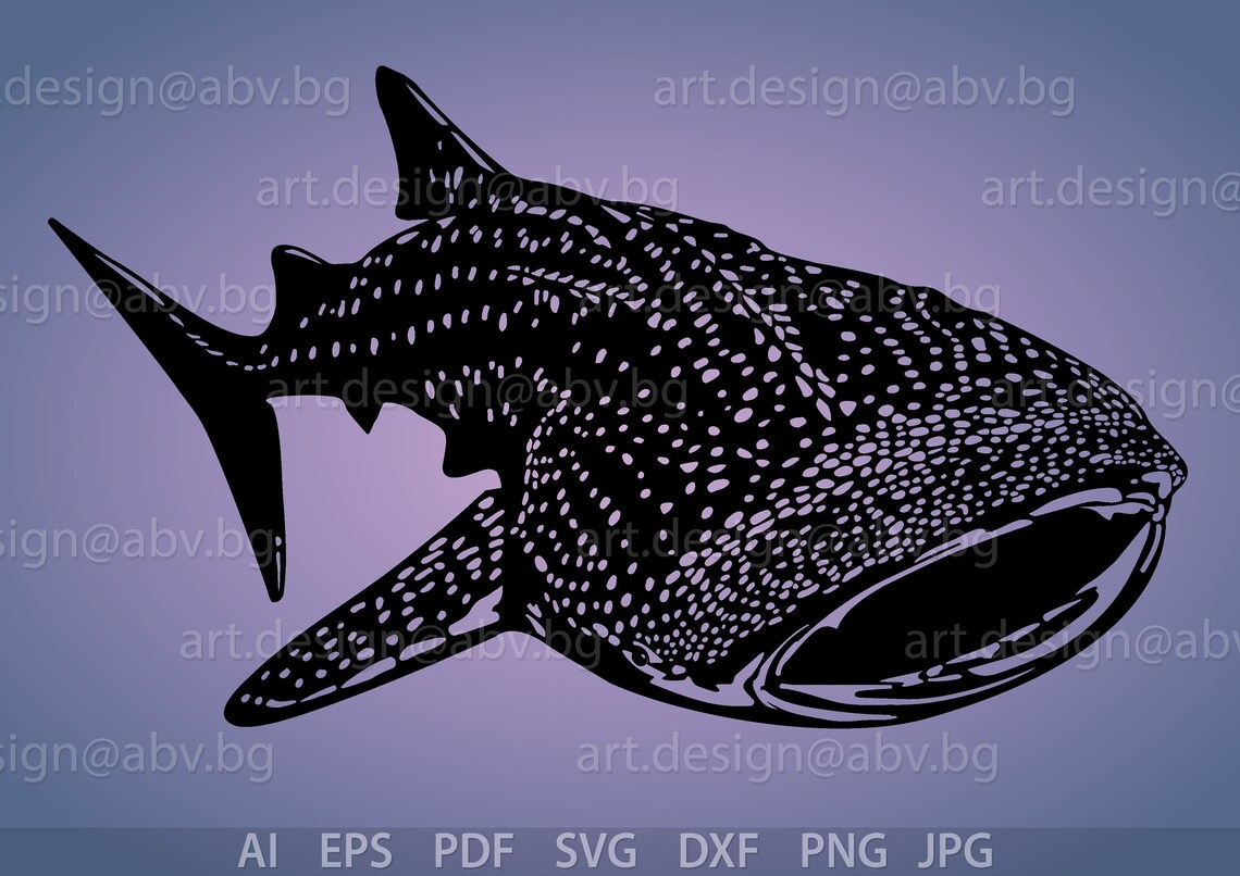 Vector SPOTTED SHARK, Fish, AI, Eps, Pdf, Svg, Dxf, Png, Jpg Image ...