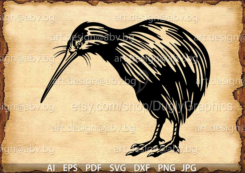 Vector KIWI Body Bird AI PNG Eps Pdf Svg Dxf Jpg | Etsy