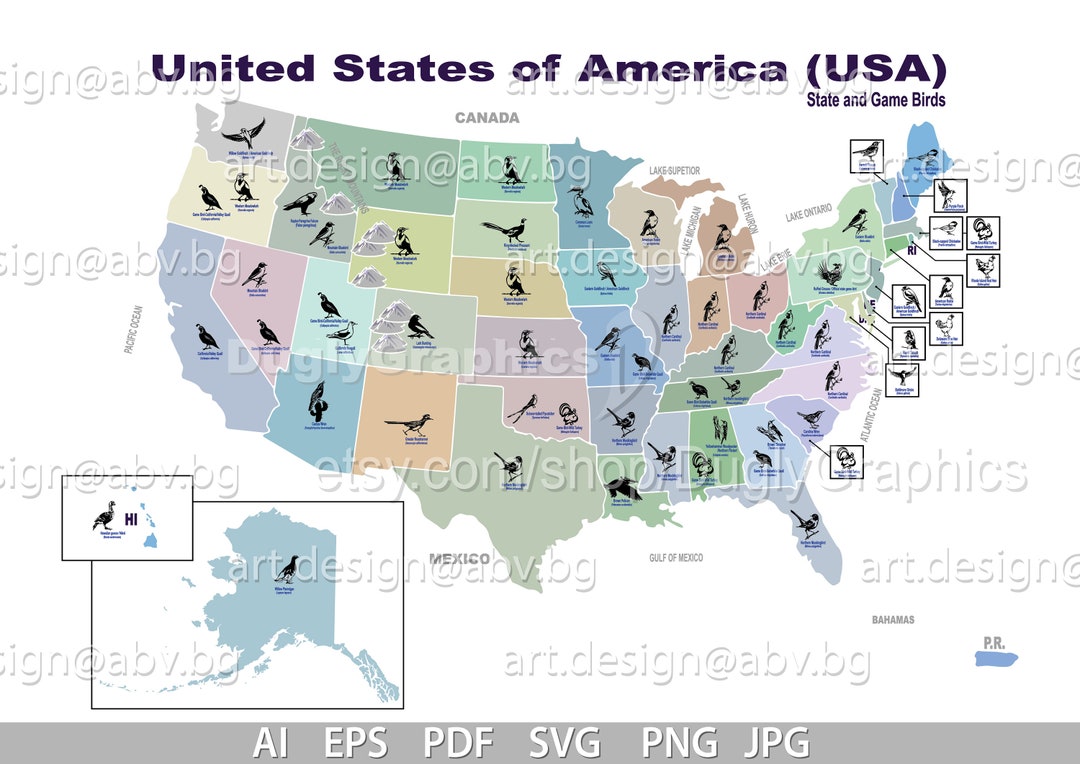 Vector USA Map State Birds Svg Ai Eps Pdf Dxf Png Jpg Download Sparrow ...