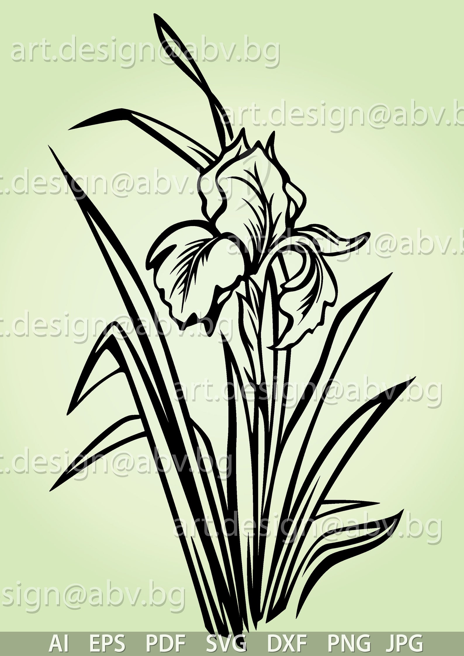 Vector FLOWER Iris AI Eps PNG Pdf Svg Dxf Jpg | Etsy