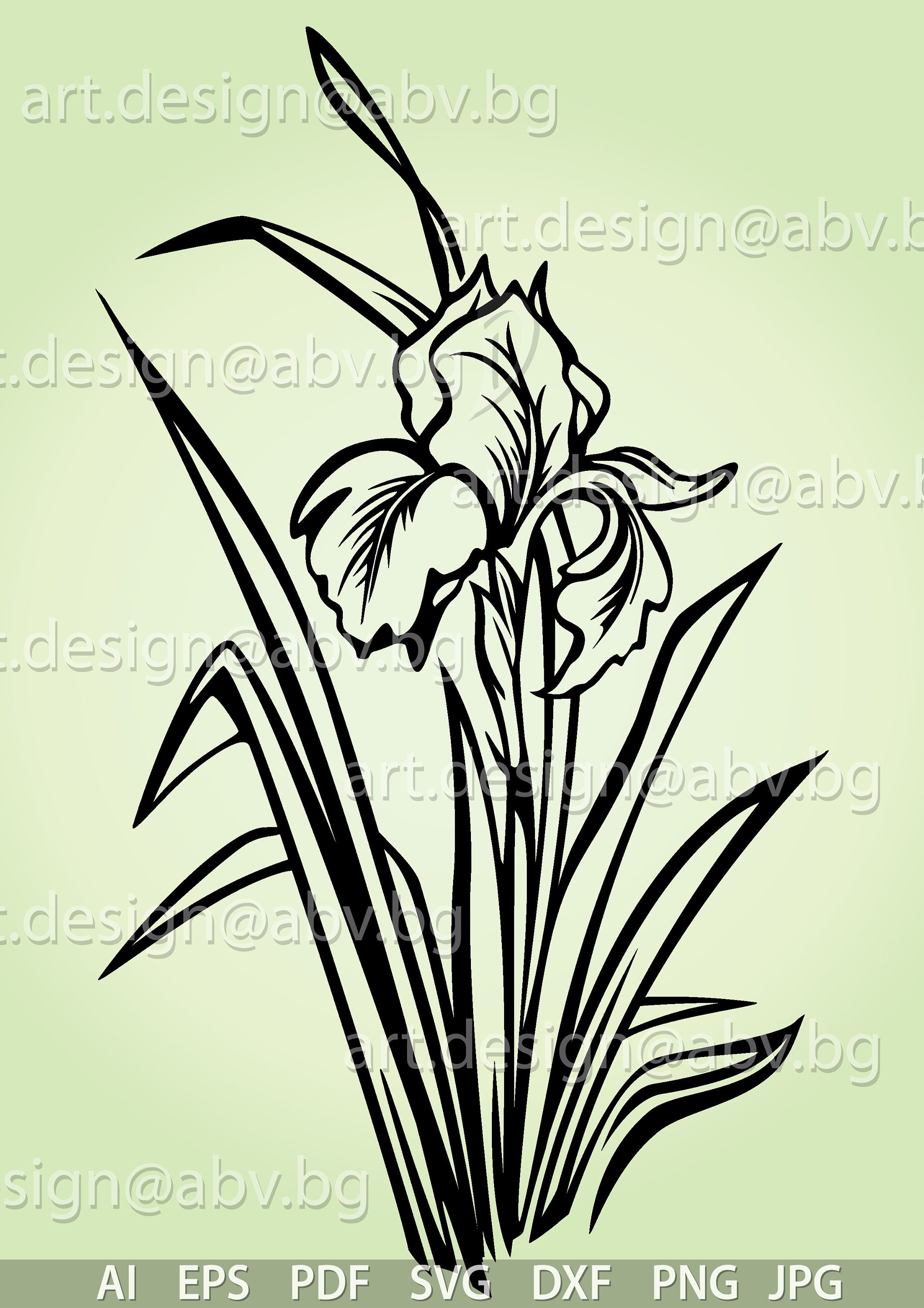 Vector FLOWER Iris AI eps PNG pdf svg dxf jpg | Etsy