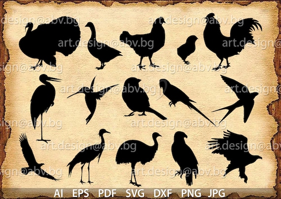Vector BIRDS Download AI Eps Pdf Svg Dxf PNG Jpg | Etsy
