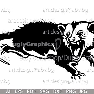Vector POSSUM, Australian Marsupial, AI, Eps, Pdf, Svg, Dxf, Png, Jpg ...