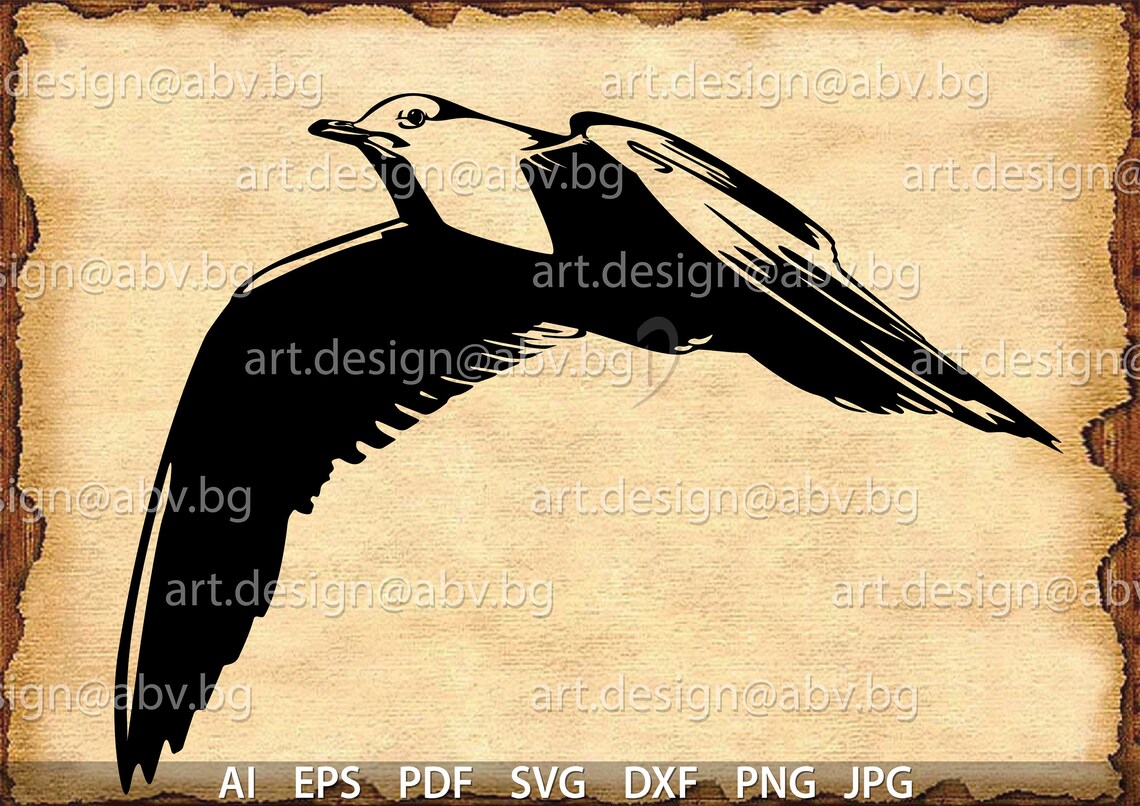 Vector SEAGULL Larus SVG DXF Ai Eps Pdf Png Jpg Files | Etsy