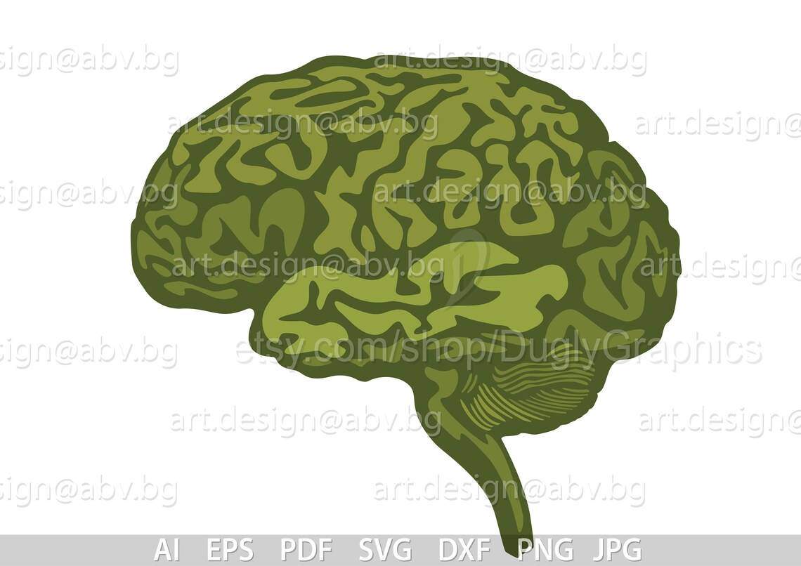 Vector BRAIN Human AI Png Eps Svg Dxf Pdf Jpg Download Files - Etsy Canada
