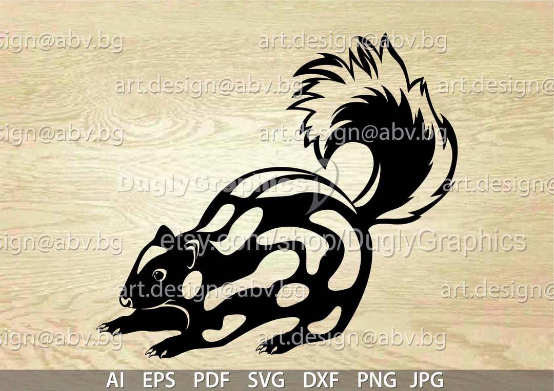 Spotted Skunk Vector Drawing (ai, Eps, Svg, Png, Jpg) Digital Image ...