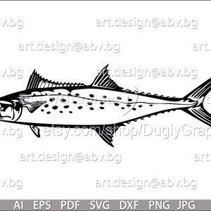 Vector SPANISH MACKEREL FISH, Ai, Eps, Pdf, Png, Svg, Dxf, Jpg Image ...