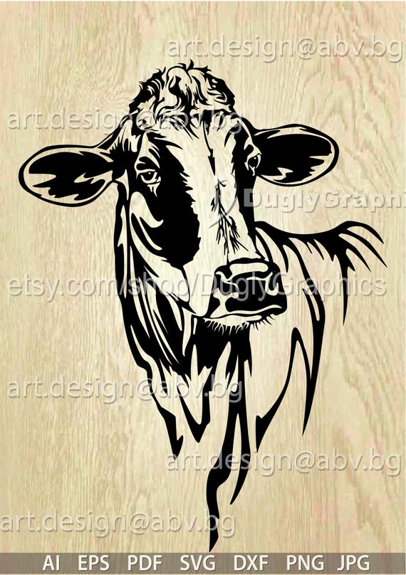 Holstein Cow Head