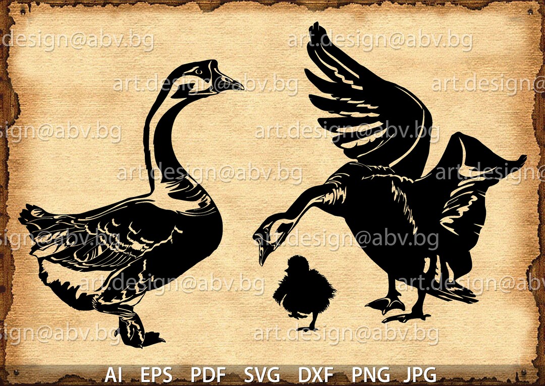 Vector GEESE, AI, Eps, Pdf, Png, Svg, Dxf, Jpg Image Graphic Digital ...