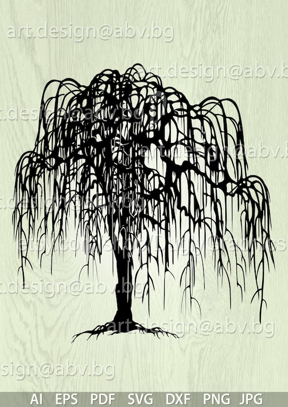 Vector WILLOW Salix Babilonica Weeping Tree AI PNG Pdf Eps Svg - Etsy