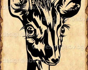 Vector RED DEER, SVG, Dxf, Ai, Eps, Pdf, Png, Jpg Download, Digital ...