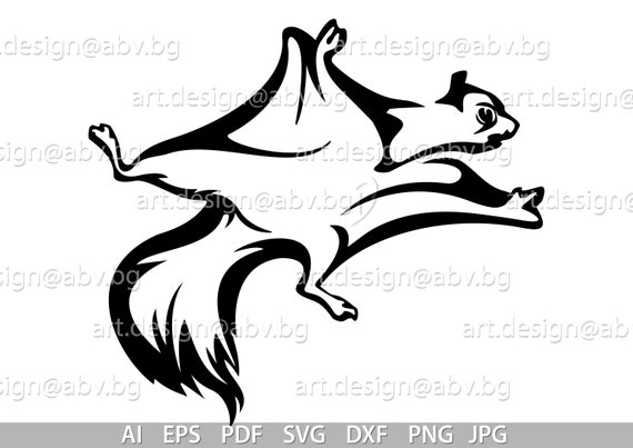 Flying Squirrel Vector
