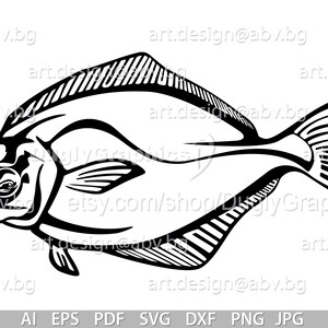 Vector HALIBUT Fish, AI, Eps, Pdf, Png, Svg, Dxf, Jpg Image Graphic ...