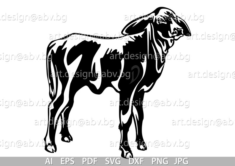 Brahman Calf Vector Art: Cow Graphic Image (digital Download) - Etsy