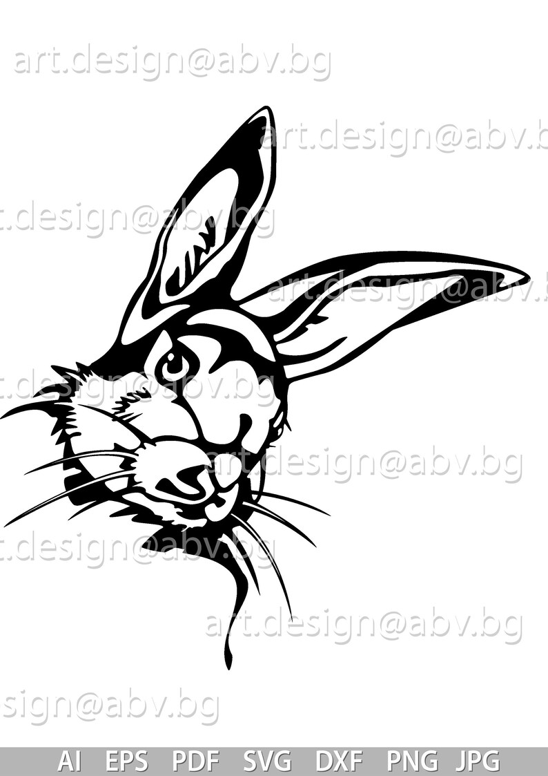 Vektor HASE, AI, eps, PNG, pdf, svg, dxf, jpg Download, Digitalbild ...