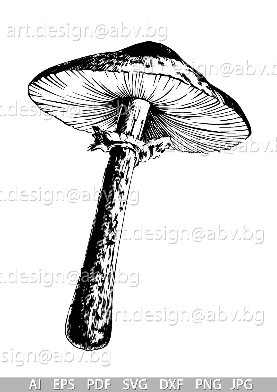 Vector MUSHROOM Ai Eps PNG Pdf Svg Dxf Jpg Image - Etsy