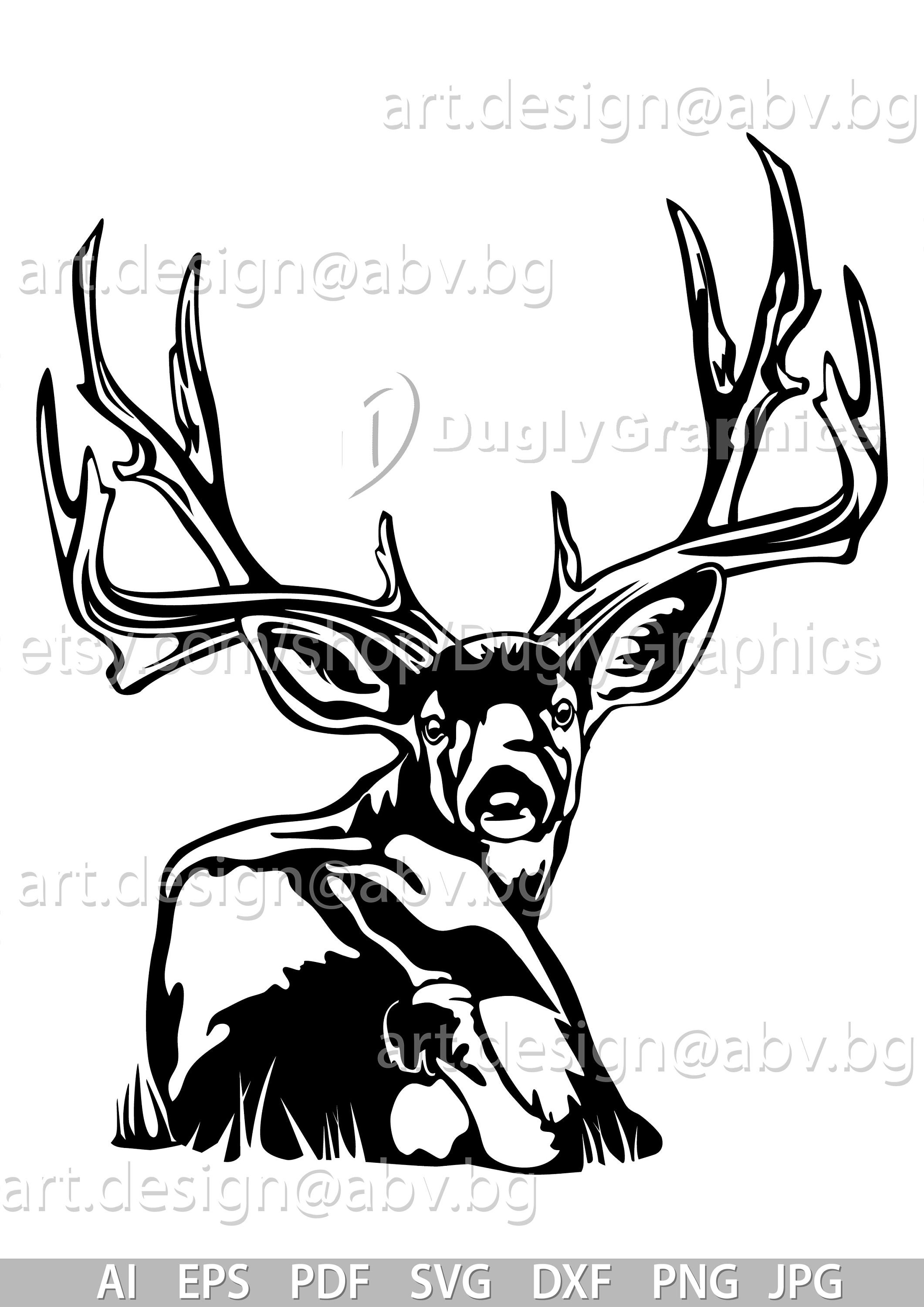 Mule Deer Skull Drawing