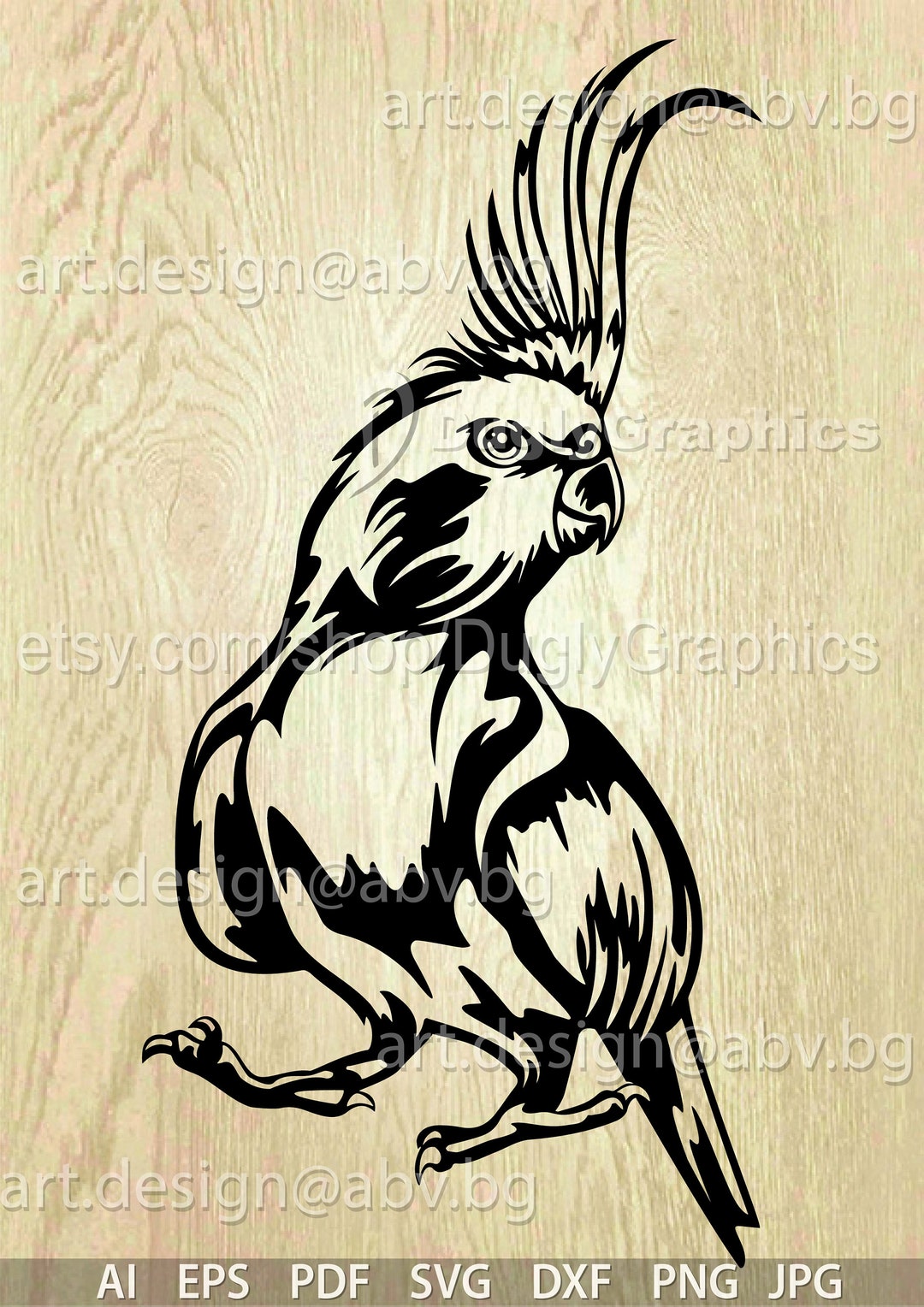 Vector PARROT Bird SVG AI Eps Pdf Dxf Png Jpg Download, Digital Image ...