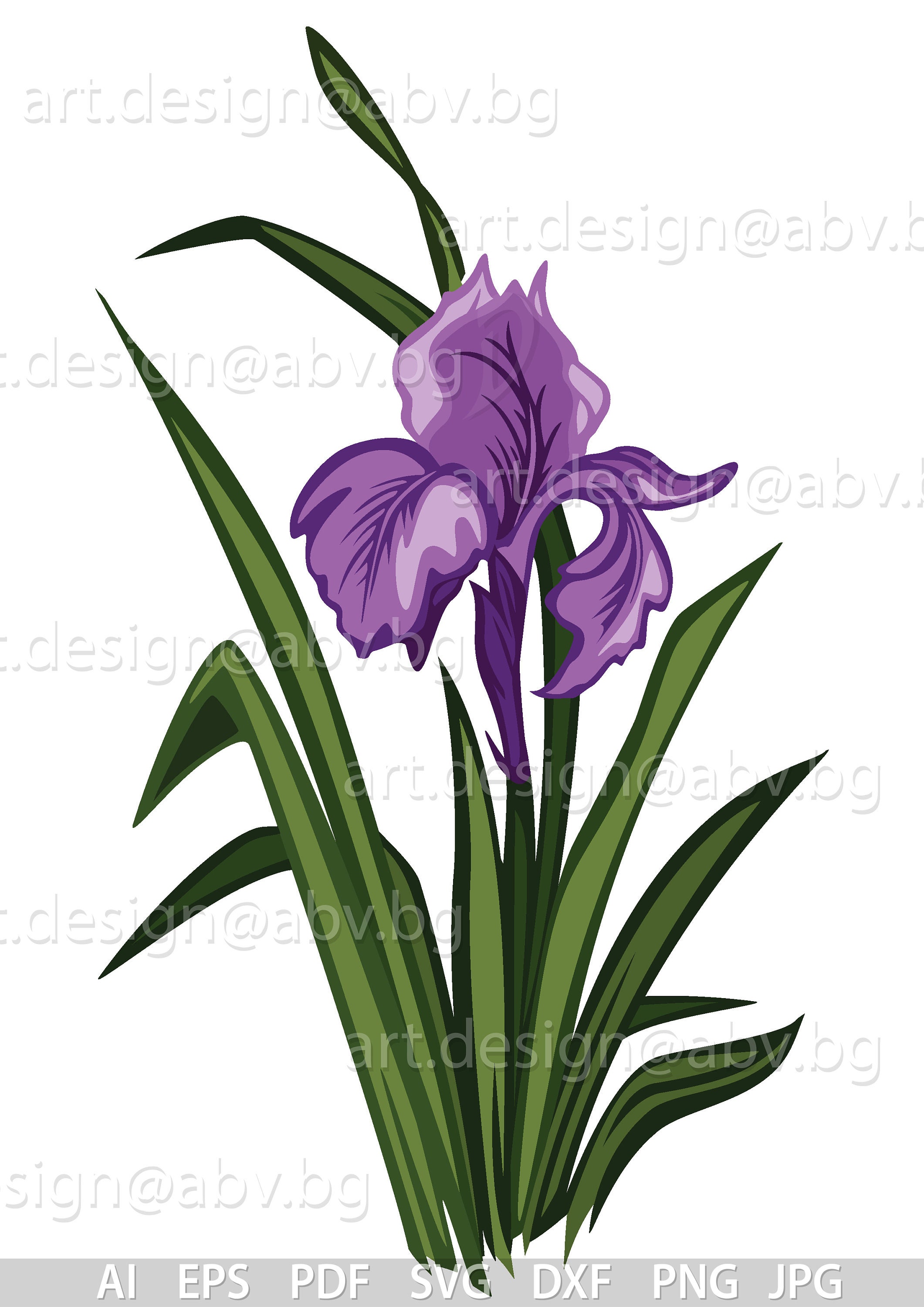 Vector FLOWER Iris AI Eps PNG Pdf Svg Dxf Jpg - Etsy UK