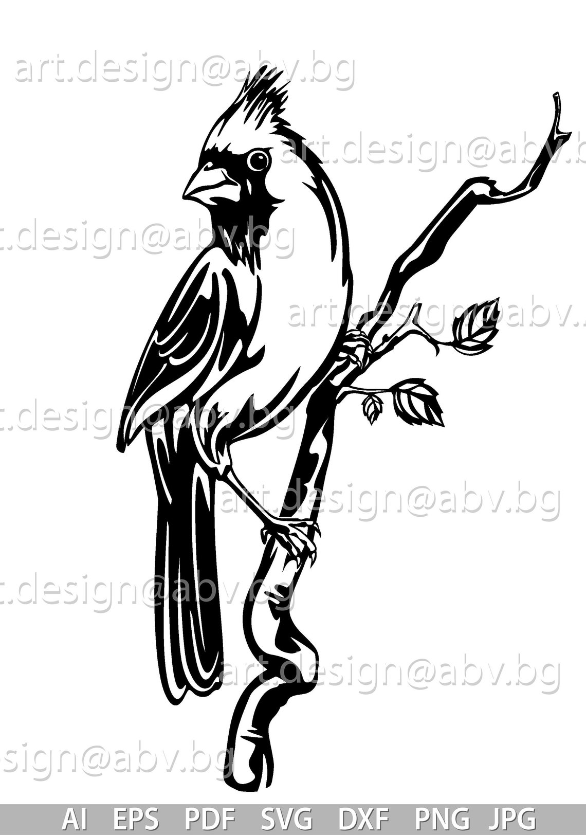 Vector BIRD AI Eps Pdf SVG Dxf Png Jpg Download | Etsy