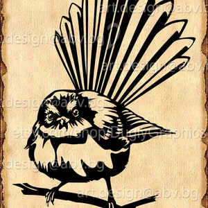 Vector FANTAIL New Zealand, AI, PNG, Eps, Pdf, Svg, Dxf, Jpg Download ...