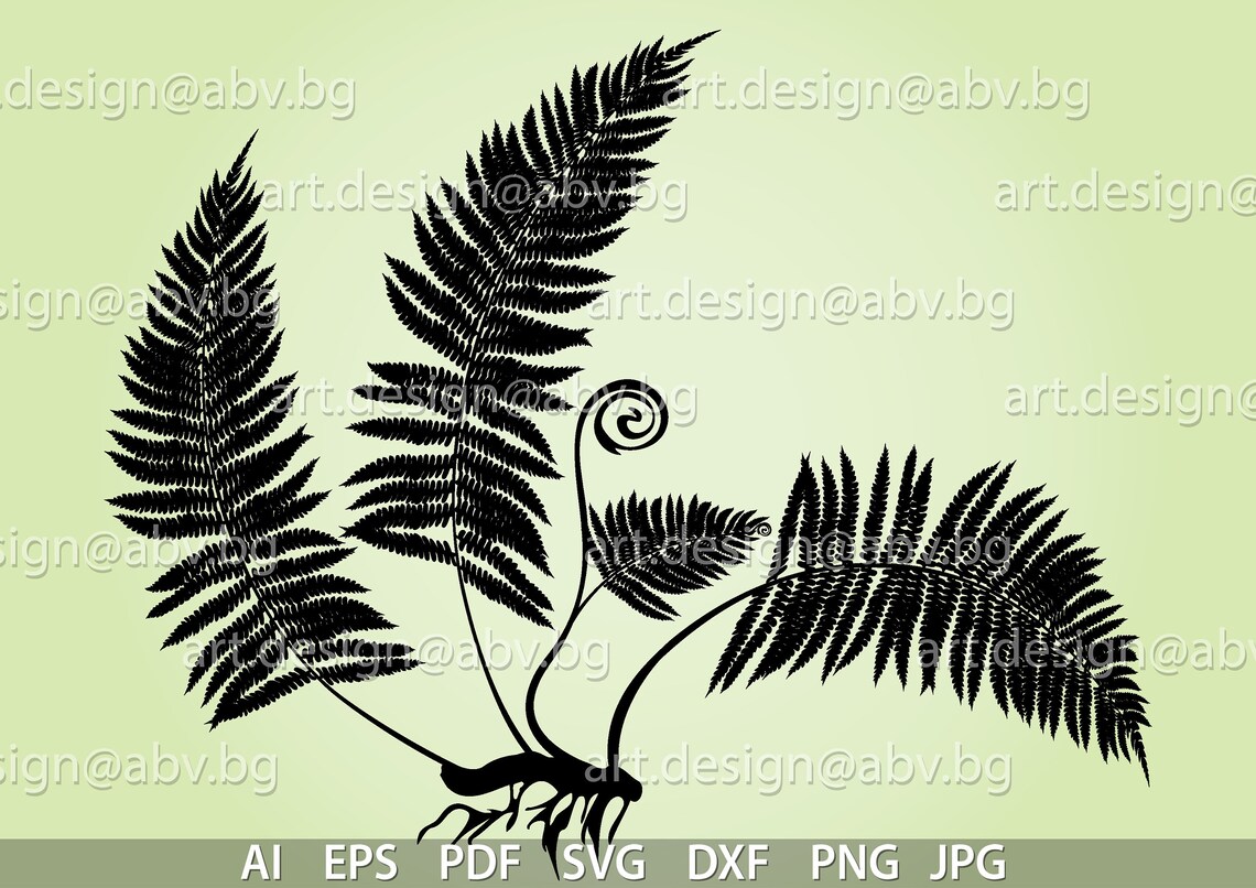 Vector FERN AI Eps Pdf SVG Dxf Png Jpg Download - Etsy
