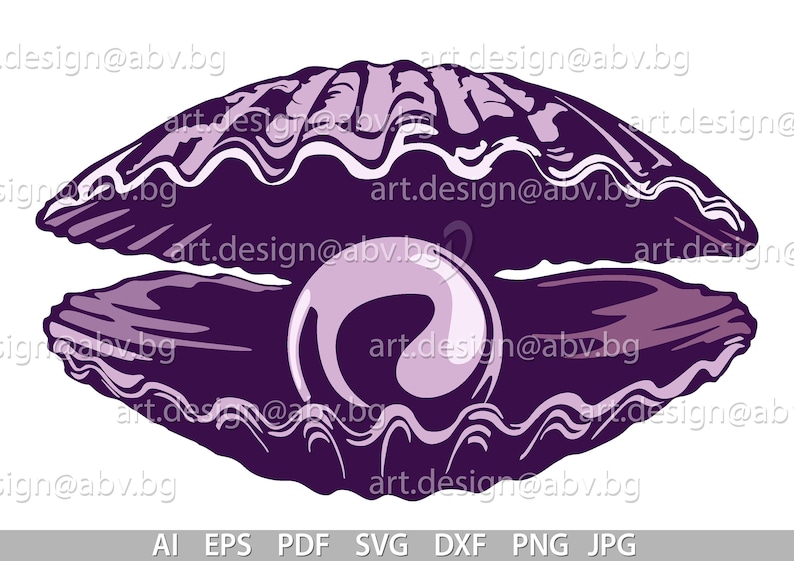 Vector SHELL With PERL Clam Bivalve AI Eps Png Pdf Svg - Etsy