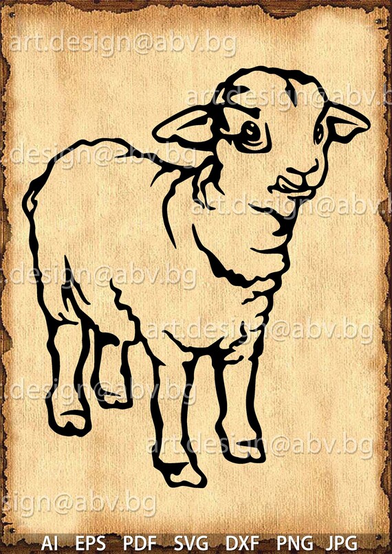 Vector SHEEP Baby AI PNG Eps Pdf Svg Dxf Jpg Instant | Etsy
