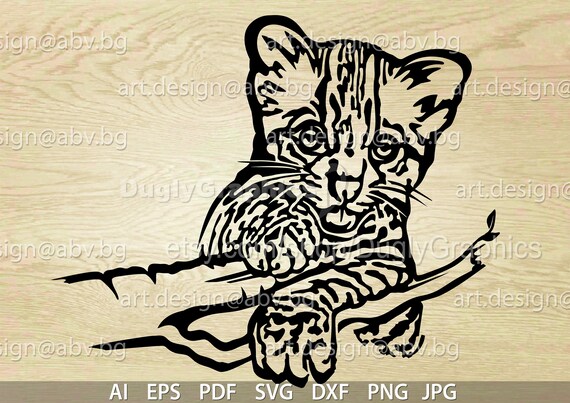 Tiger Vektor Bild