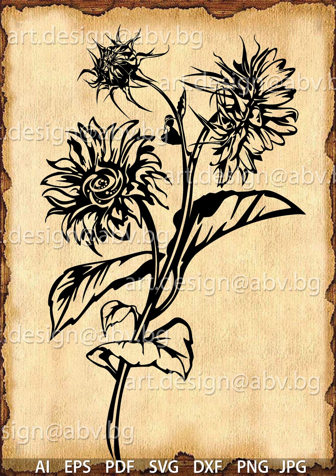 Vector SUNFLOWER, AI, Eps, Pdf, Svg, Dxf, Png, Jpg Download Files ...