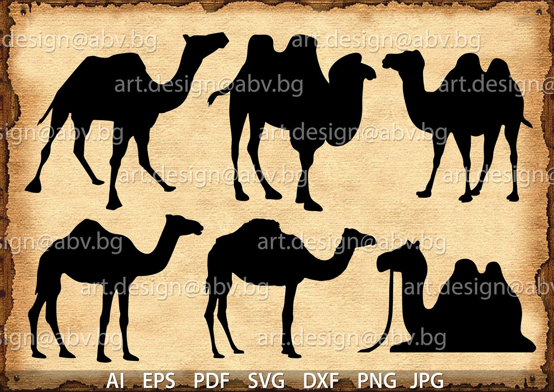 Vector CAMEL AI Eps Pdf Svg Dxf Png Jpg Download - Etsy