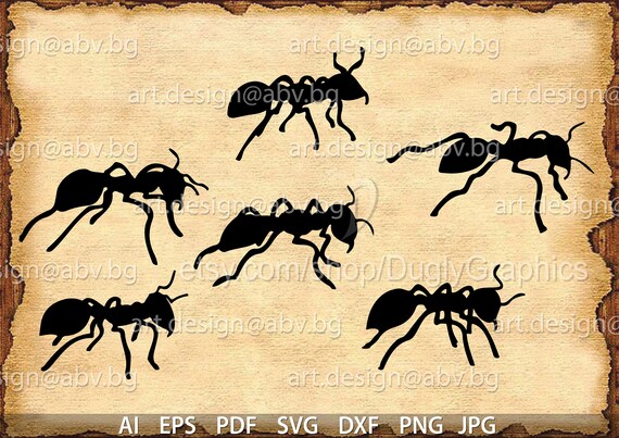 Vector ANTS Ai Svg Eps Pdf DXF Png Jpg Download - Etsy New Zealand