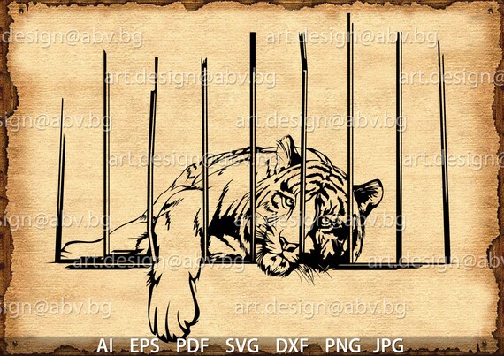 Sad Tiger Drawing