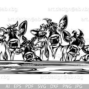 Vector 4 HEIFERS, for PRINTING, Calf, Head, AI, Png, Eps, Pdf, Svg, Dxf ...