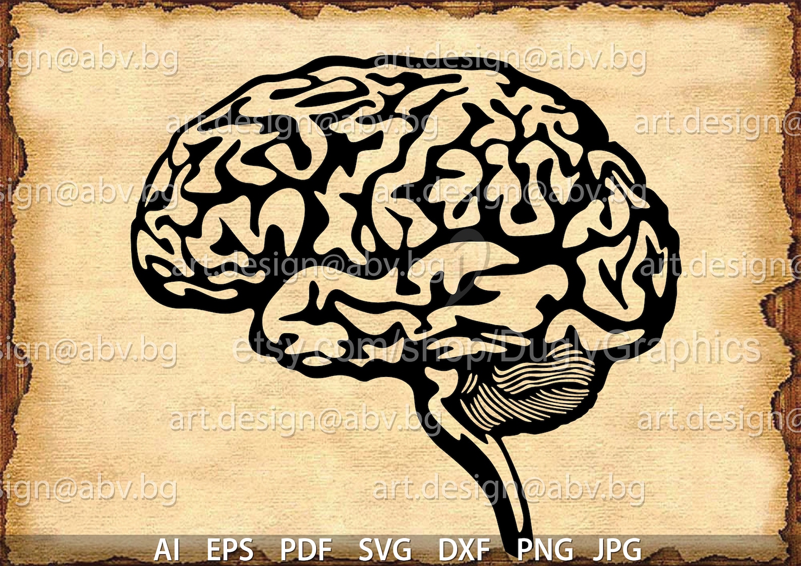 Vector BRAIN Human AI Png Eps Svg Dxf Pdf Jpg Download Files - Etsy