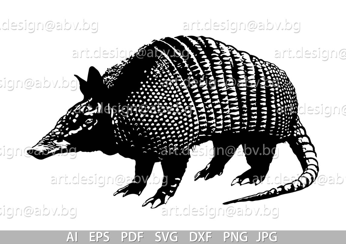 Armadillo Vector Image (ai, Eps, Pdf, Svg, Dxf, Png, Jpg) (digital ...