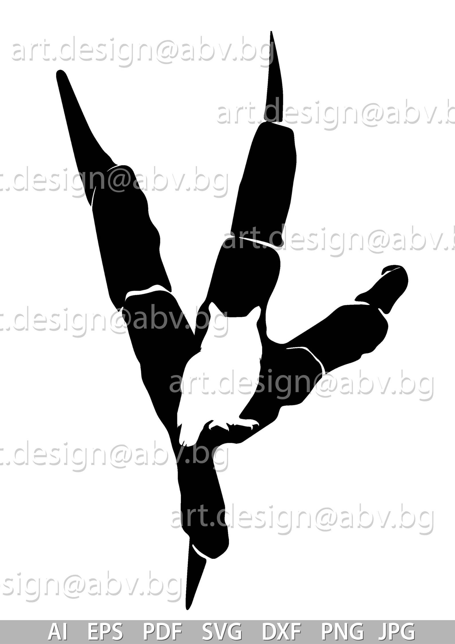 Vector STEP OWL AI eps pdf png svg dxf jpg Image | Etsy