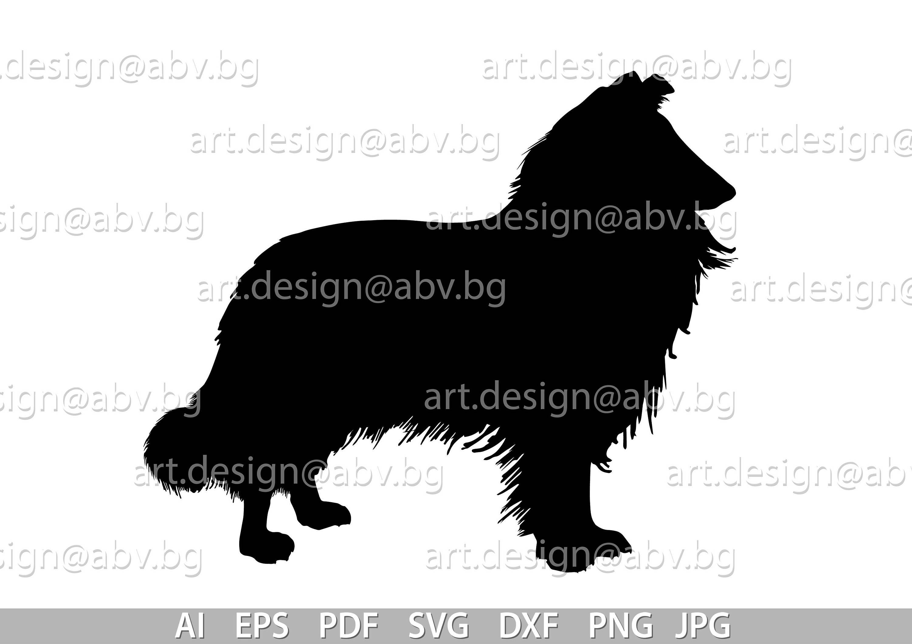 Vector DOG Collie AI Eps PNG Pdf Svg Dxf Jpg Download - Etsy Ireland
