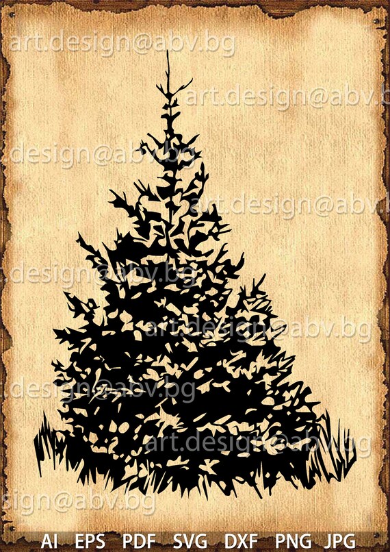 Vector CONIFER TREE Evergreen AI Eps Pdf Png Svg Dxf | Etsy
