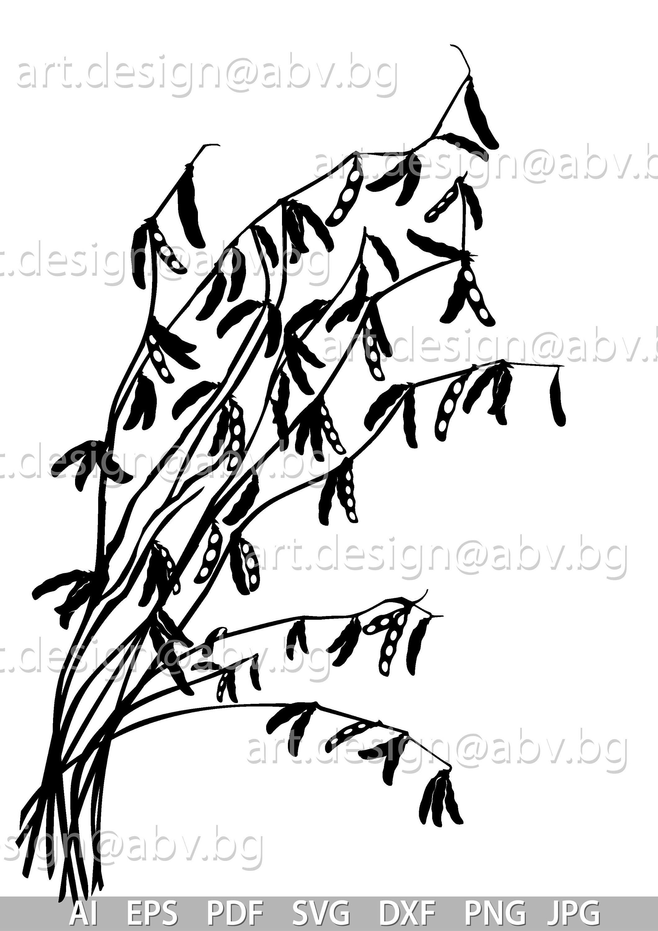 Vector SOYBEAN PODS AI Eps Png Pdf Svg Dxf Jpg | Etsy UK