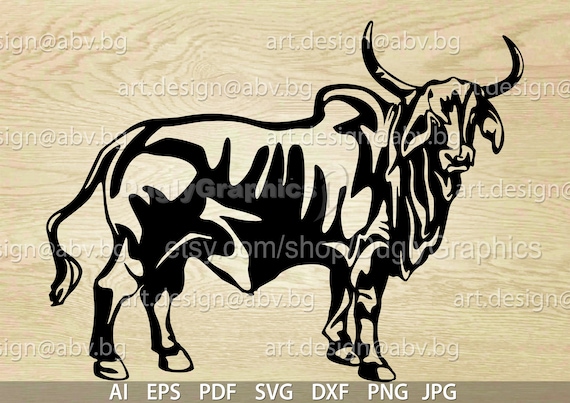 Vector COW Brahman Body AI PNG Eps Pdf Svg Dxf Jpg - Etsy