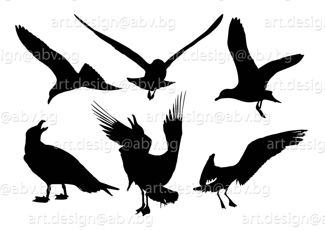Vector SEAGULL Larus AI Eps Pdf Svg Dxf PNG Jpg Files | Etsy