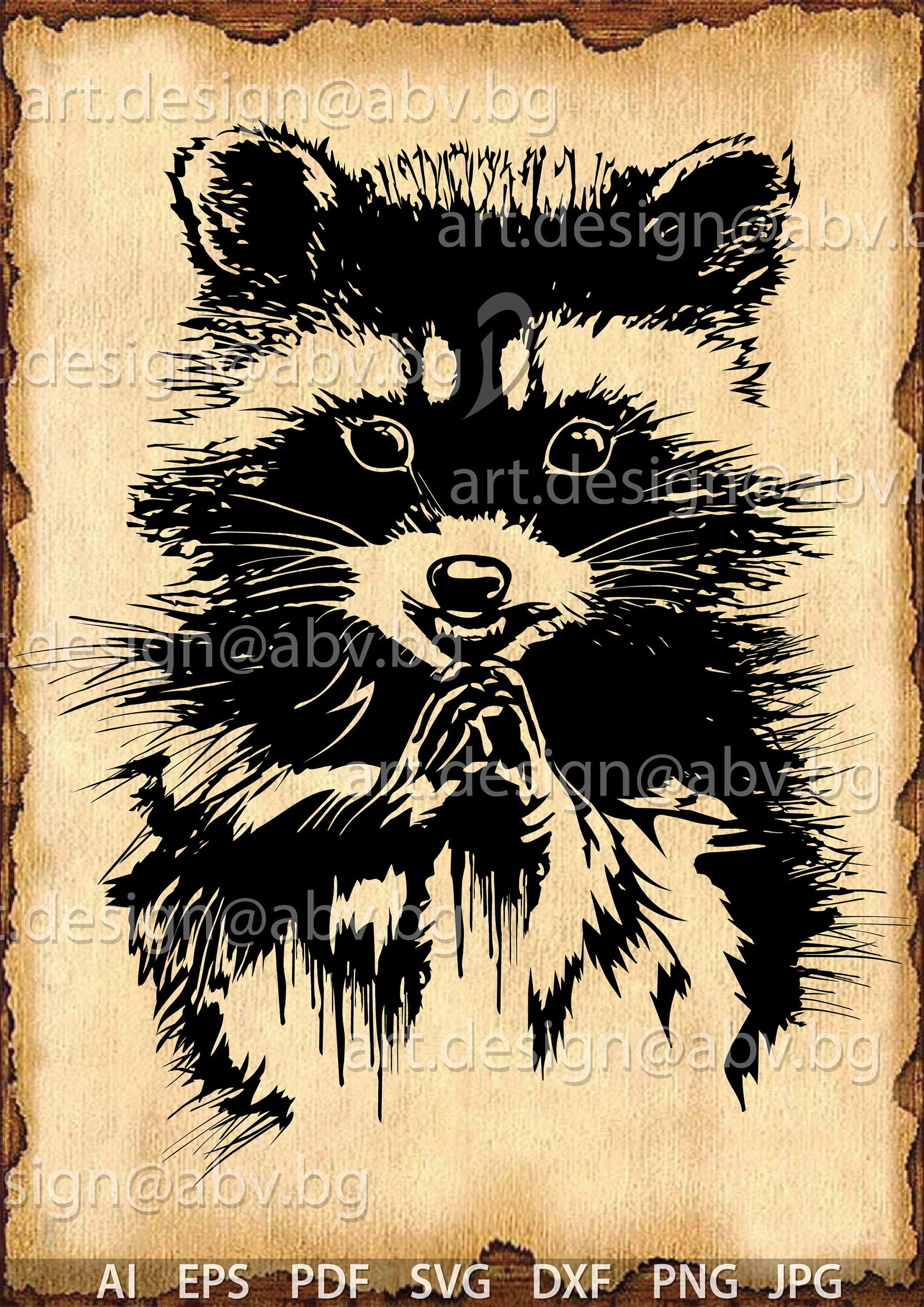 Vector RACCOON Svg Ai Eps Pdf DXF Png Jpg Download Digital - Etsy